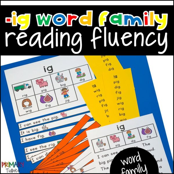 CVC Word Reading Fluency for ig Word Family | Made By Teachers