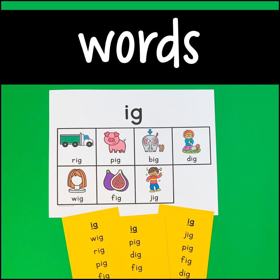 CVC Word Reading Fluency for ig Word Family | Made By Teachers