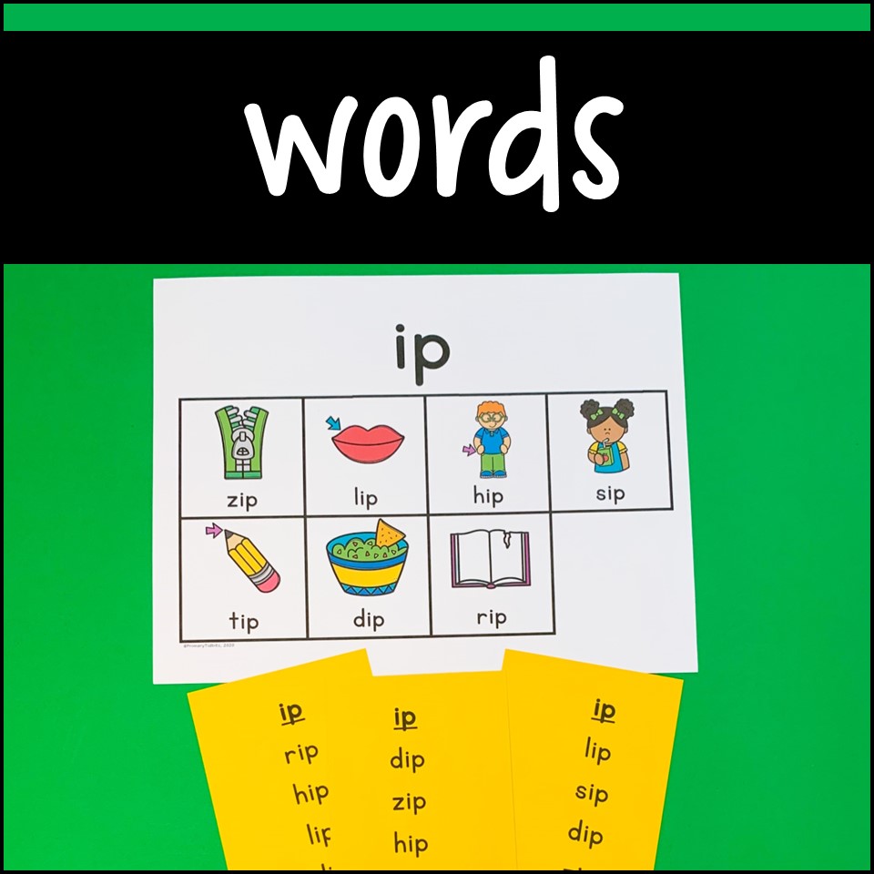 CVC Word Reading Fluency for ip Word Family | Made By Teachers
