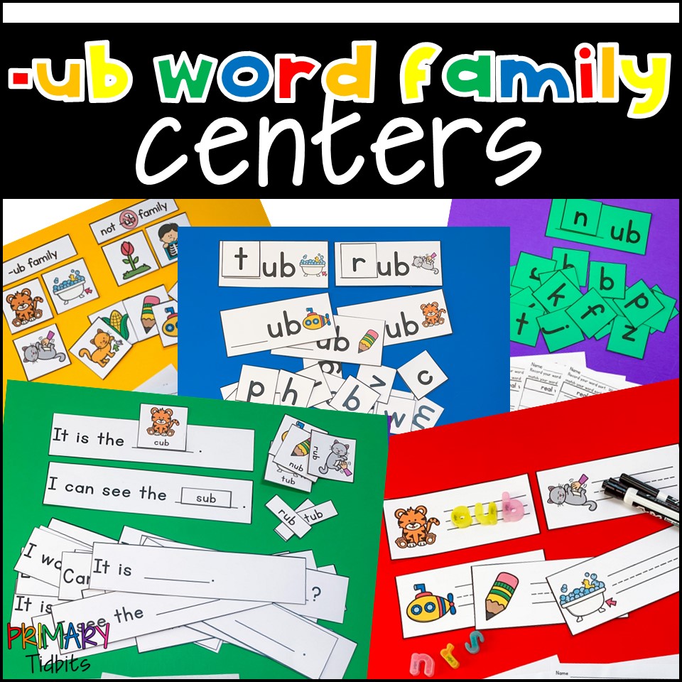 CVC Word ab Word Family Interactive Notebook | Made By Teachers