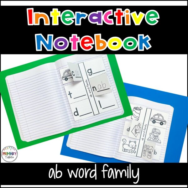 CVC Word ab Word Family Interactive Notebook | Made By Teachers