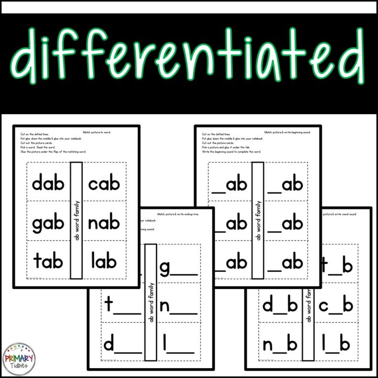 CVC Word ab Word Family Interactive Notebook | Made By Teachers