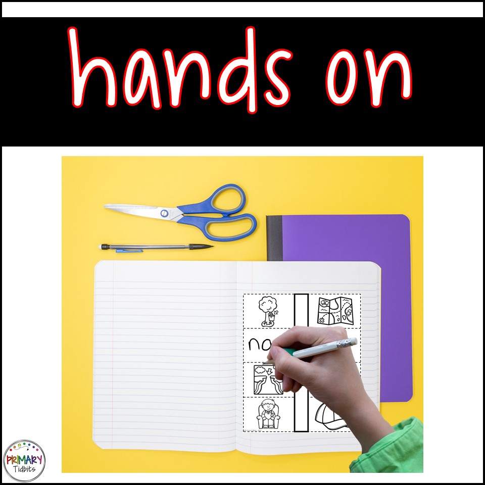 CVC Word ap Word Family Interactive Notebook | Made By Teachers