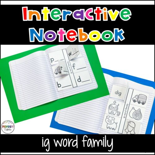 CVC Word Ig Word Family Interactive Notebook Made By Teachers cvc-word-ig-word-family-interactive-notebook-made-by-teachers