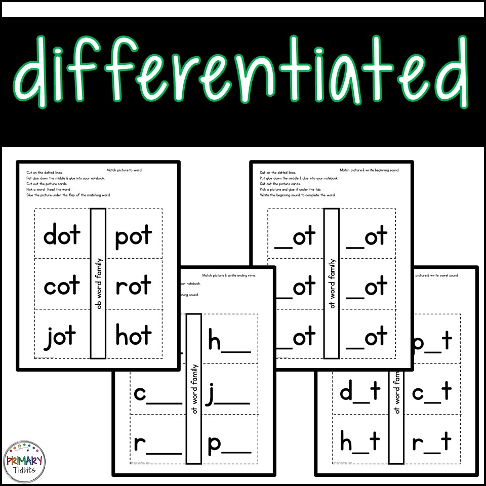 CVC Word ot Word Family Interactive Notebook | Made By Teachers
