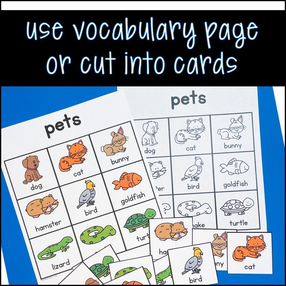Pets Writing Center with Differentiated Activities | Made By Teachers