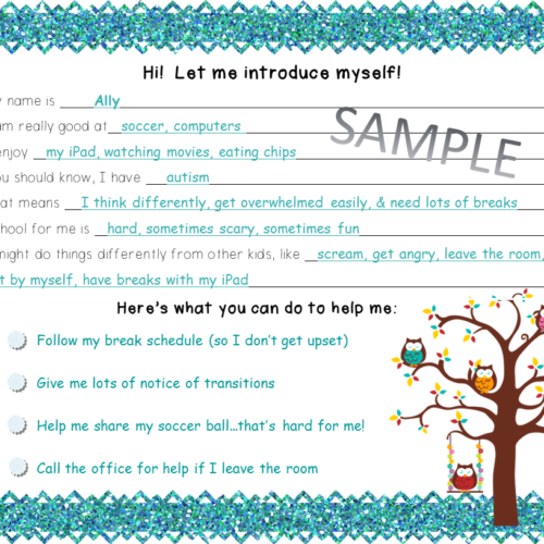 Self-Advocacy Cards for Elementary Students | Made By Teachers