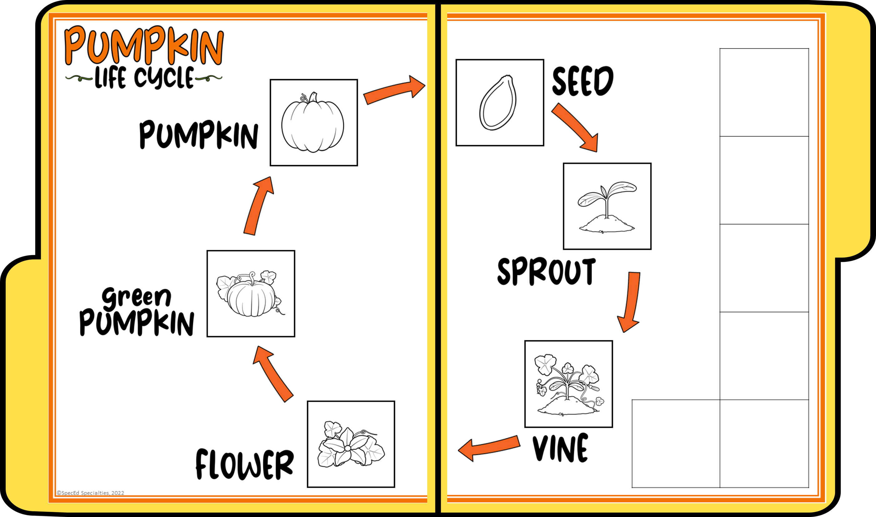 Life Cycle of a Pumpkin File Folder Games, Adapted Books, & Sequencing ...