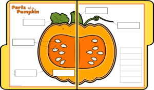 Life Cycle of a Pumpkin File Folder Games, Adapted Books, & Sequencing ...