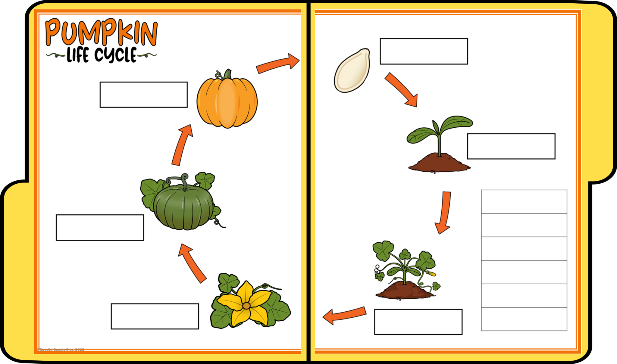 Life Cycle of a Pumpkin File Folder Games, Adapted Books, & Sequencing ...
