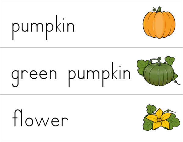 Life Cycle of a Pumpkin File Folder Games, Adapted Books, & Sequencing ...