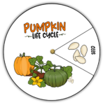 Life Cycle of a Pumpkin File Folder Games, Adapted Books, & Sequencing ...