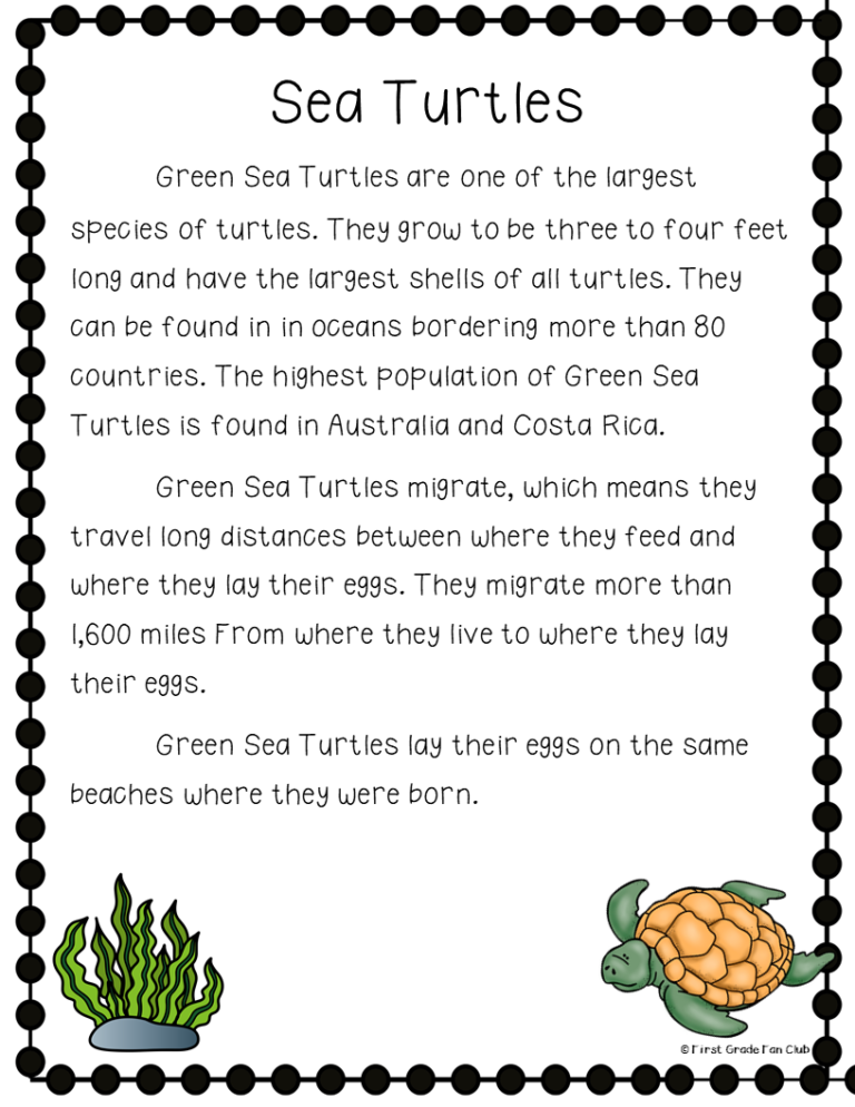 Printable Ocean Reading Comprehension Bundle! | Made By Teachers