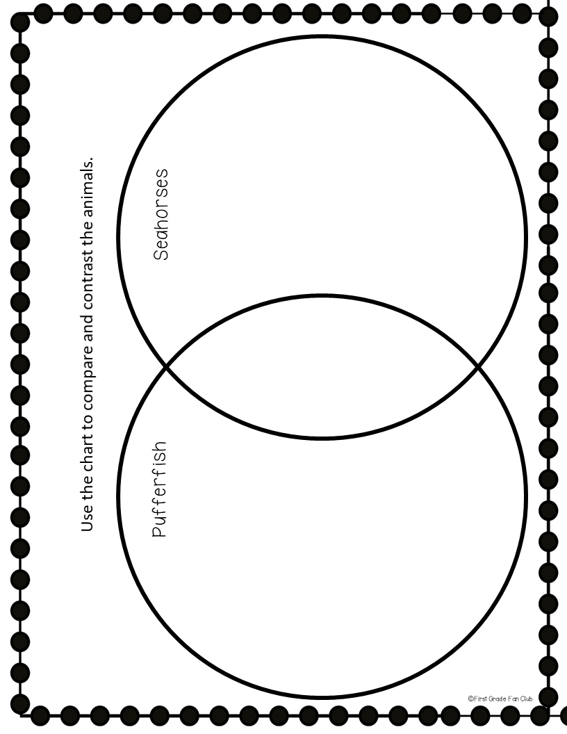 Printable Ocean Reading Comprehension Bundle! | Made By Teachers