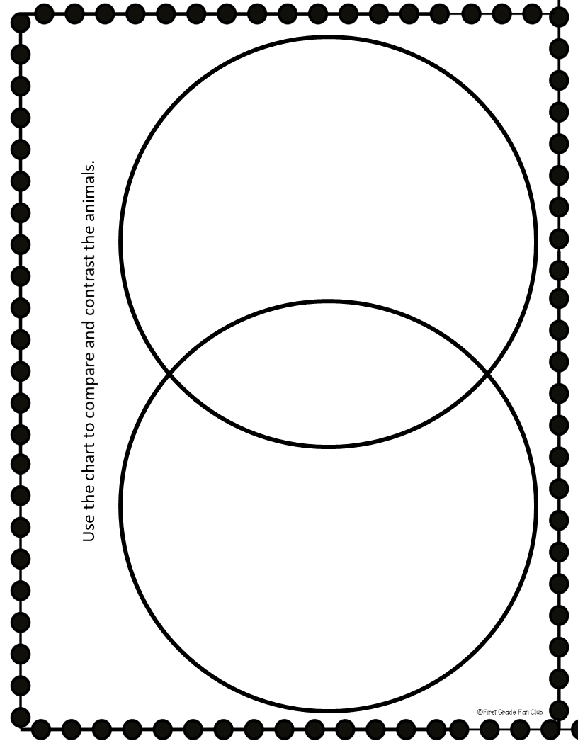 Printable Ocean Reading Comprehension Bundle! | Made By Teachers