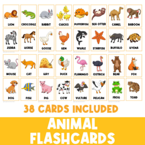 Animal Flashcards | Preschool Flashcards | Kindergarten - Made By Teachers