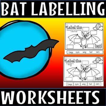 Bats and owls - Made By Teachers