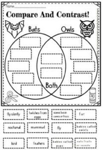 Bats and owls - Made By Teachers