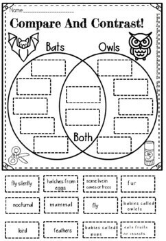 Bats and owls - Made By Teachers