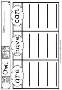 Bats and owls - Made By Teachers