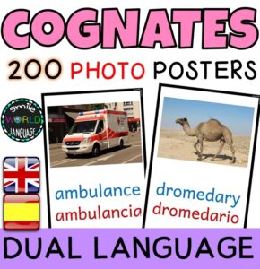 200 Cognates Cognados Photo Posters english spanish inglés español DUAL ...