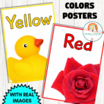 Colorful Classroom Decor | Color Posters | Color Word Posters | Colors ...