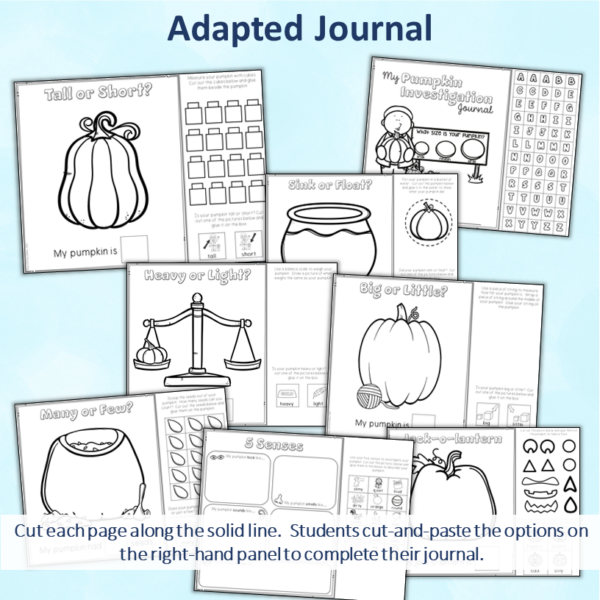 Pumpkin Investigation Journal: Adapted & Differentiated | Made By Teachers