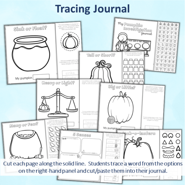 Pumpkin Investigation Journal: Adapted & Differentiated | Made By Teachers