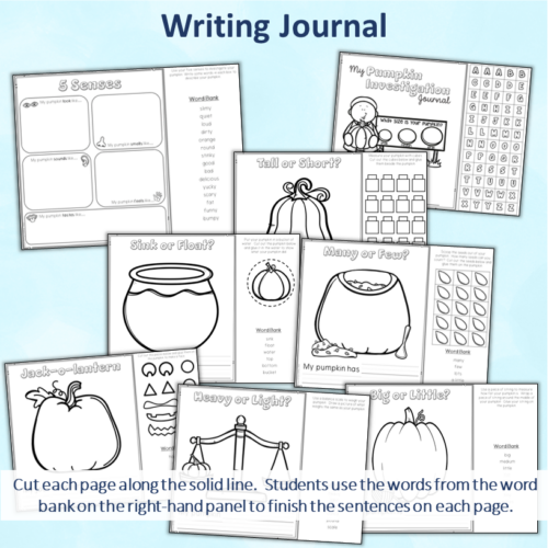 Pumpkin Investigation Journal: Adapted & Differentiated - Made By Teachers