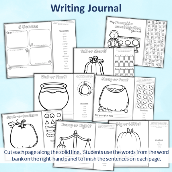 Pumpkin Investigation Journal: Adapted & Differentiated | Made By Teachers