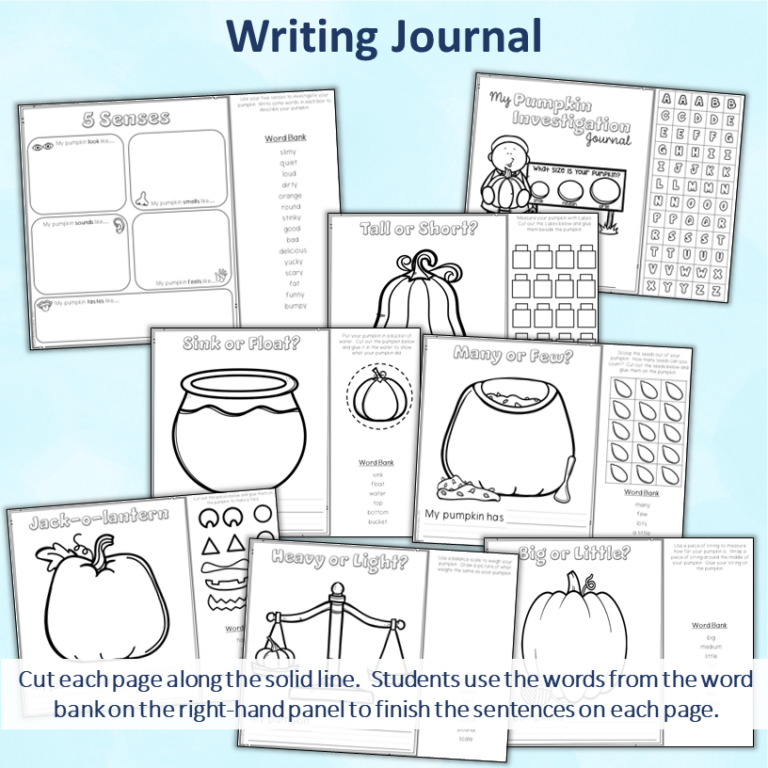 Pumpkin Investigation Journal: Adapted & Differentiated | Made By Teachers