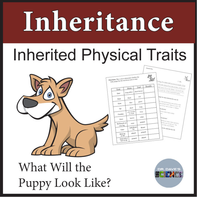 Genetics and Heredity, Inherited Traits Activity - Made By Teachers