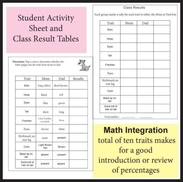 Genetics and Heredity, Inherited Traits Activity - Made By Teachers