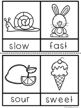 Opposites little book | Made By Teachers