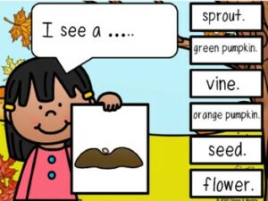 Pumpkin life cycle resource | Made By Teachers