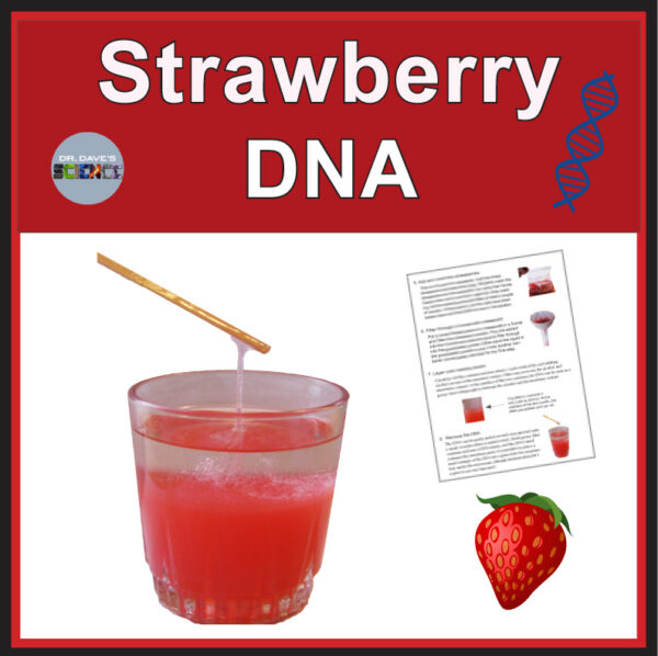 Strawberry DNA Activity - Made By Teachers