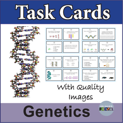 Genetics and Heredity Task Cards DNA Structure and DNA Replication ...