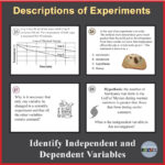 Scientific Method Task Cards Science Task Cards - Made By Teachers