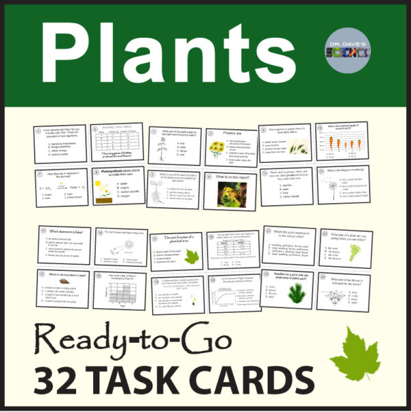 Plants and Parts of Plants Photosynthesis Task Cards | Made By Teachers