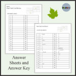 Plants and Parts of Plants Photosynthesis Task Cards | Made By Teachers