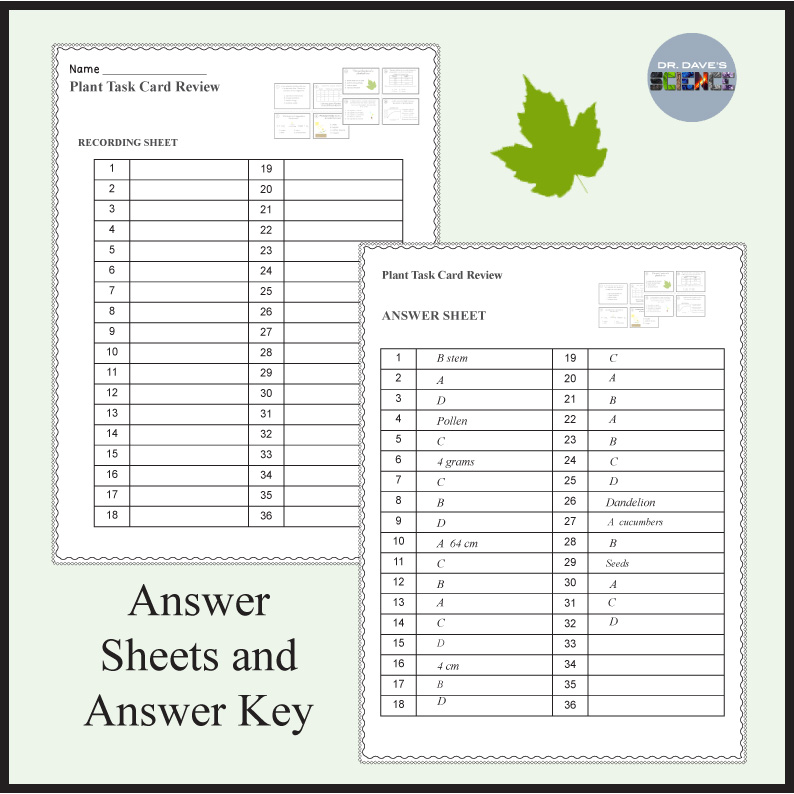 Plants and Parts of Plants Photosynthesis Task Cards | Made By Teachers