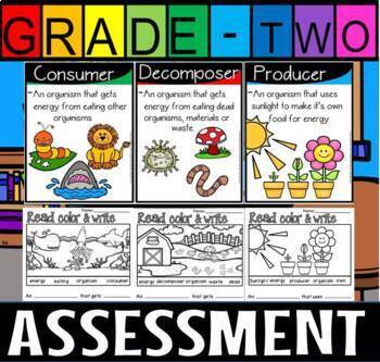 Producer And Consumer 1st Grade