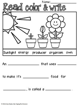 Producer consumer and decomposer assessment - Made By Teachers