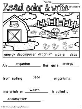 Producer consumer and decomposer assessment - Made By Teachers