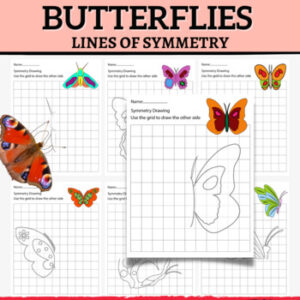 Butterflies Lines of Symmetry Spring Activity | Made By Teachers