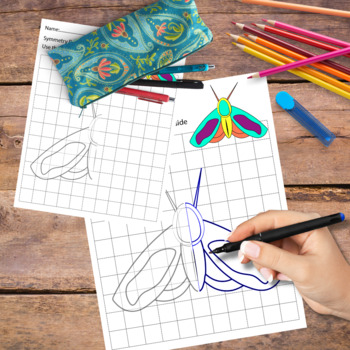 Butterflies Lines of Symmetry Spring Activity | Made By Teachers
