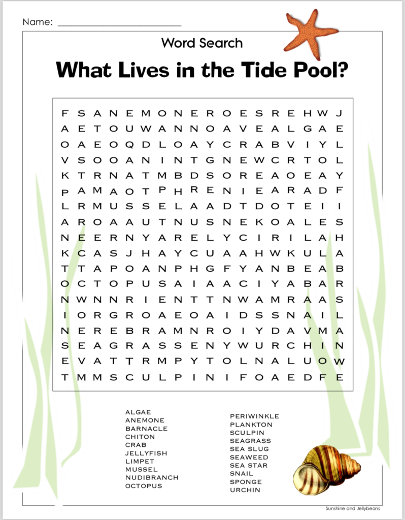 Freebie - Word Search - What Lives in the Tide Pool? - Grades 3-5 ...
