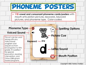 Sound Wall with Mouth Pictures in Rustic Wood - Made By Teachers