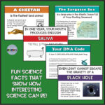 Science Posters Fun Science Facts, Bulletin Board and Classroom Décor ...