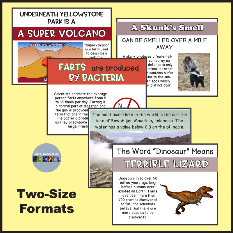 Science Posters Fun Science Facts, Bulletin Board and Classroom Décor ...